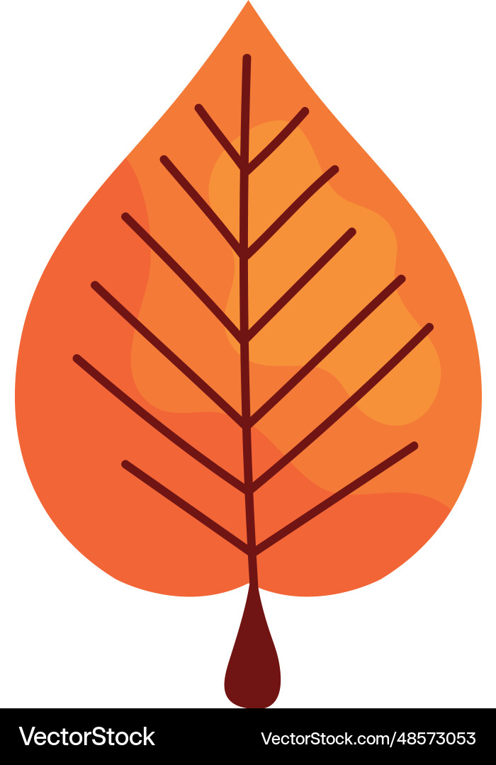 Autumn season leaf foliage Royalty Free Vector Image