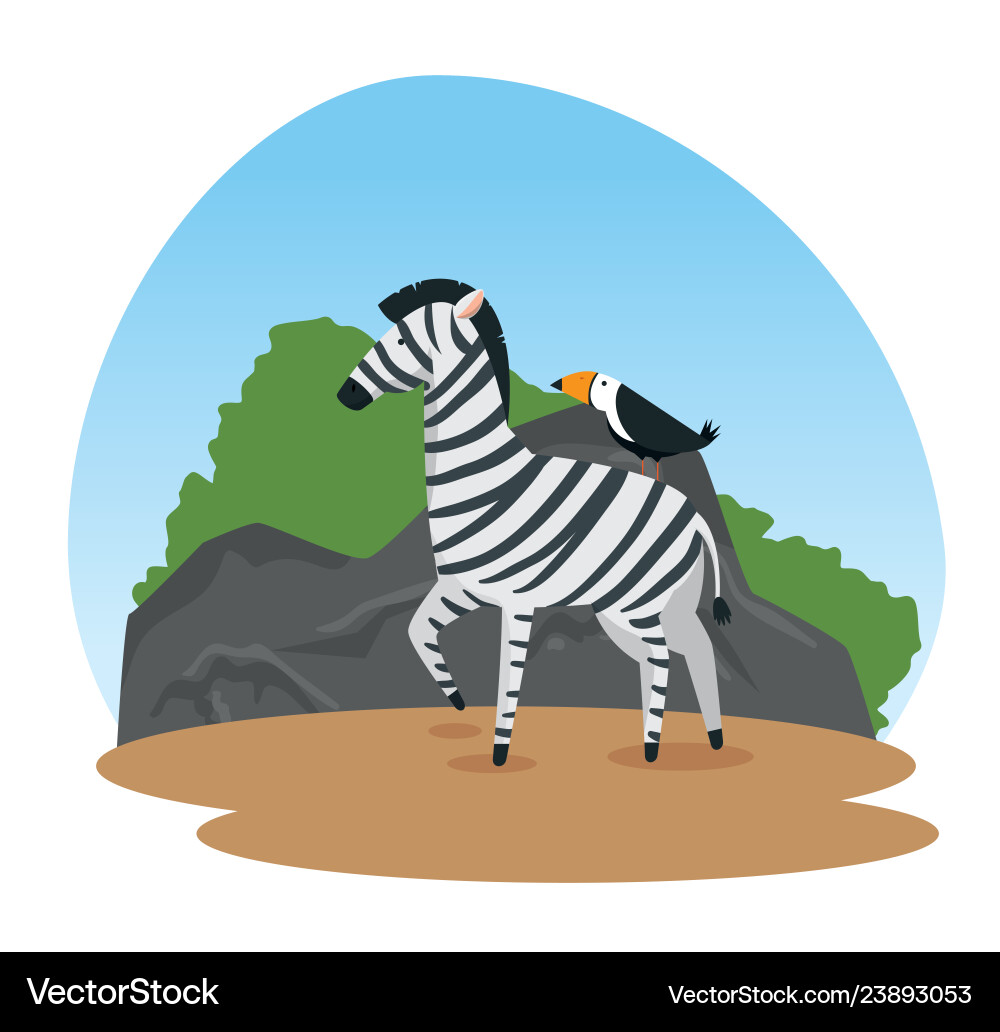 Zebra and bird wild animals reserve Royalty Free Vector