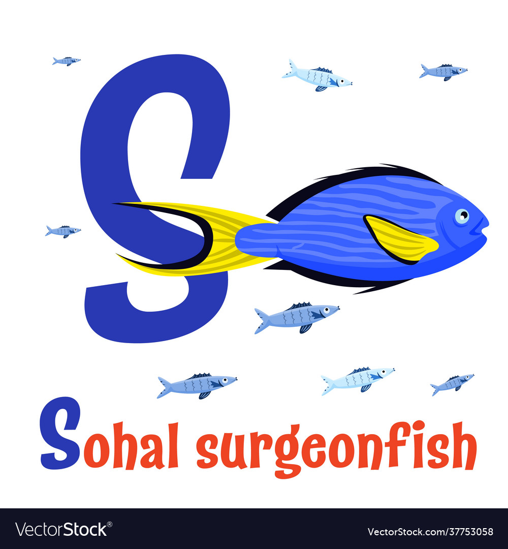 Sea animals alphabet abc for children letter s Vector Image