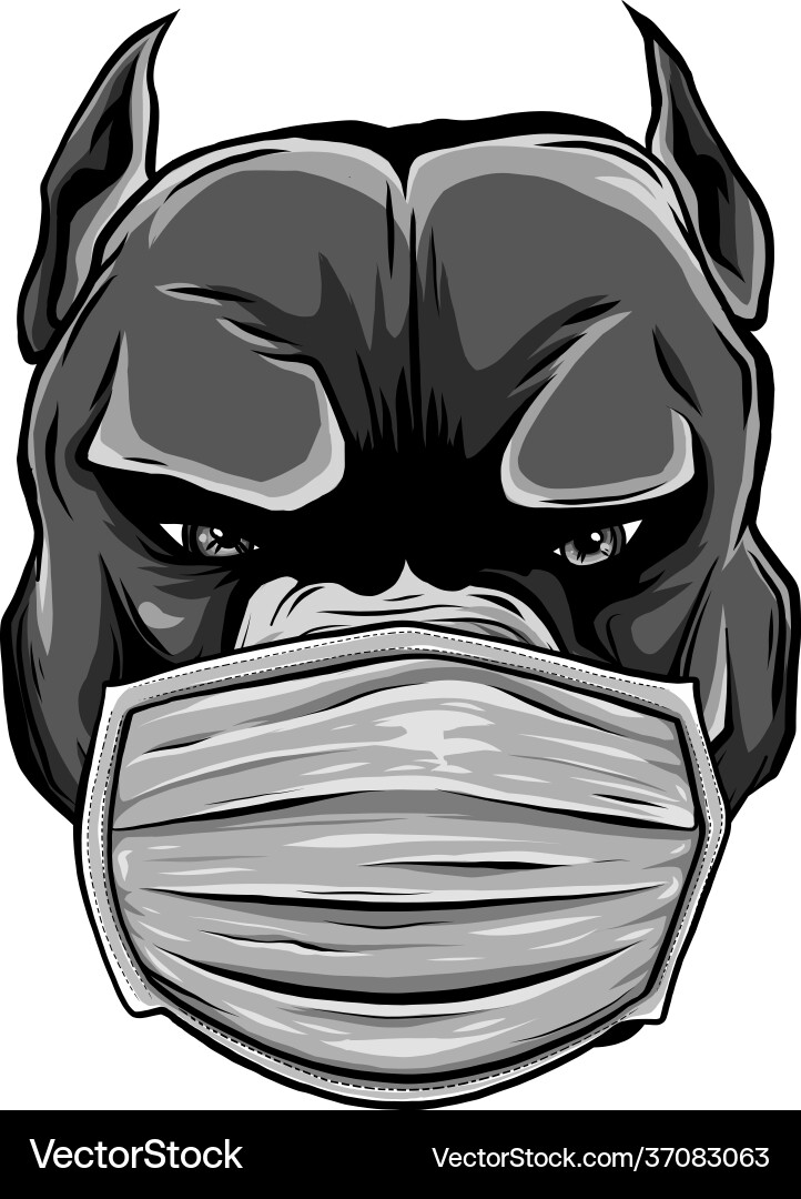 Design dog with a protective mask on his face Vector Image