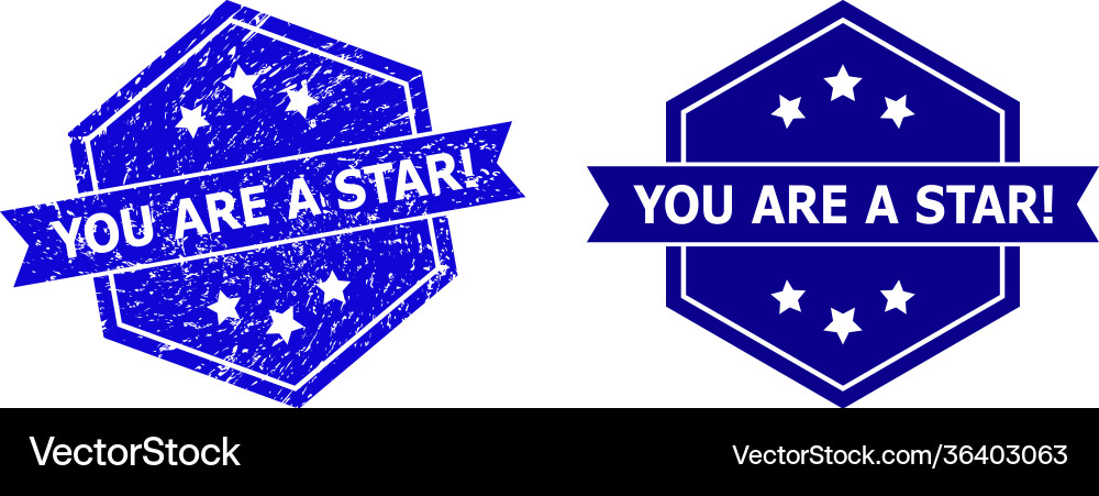 Hexagon you are a star exclamation seal Royalty Free Vector