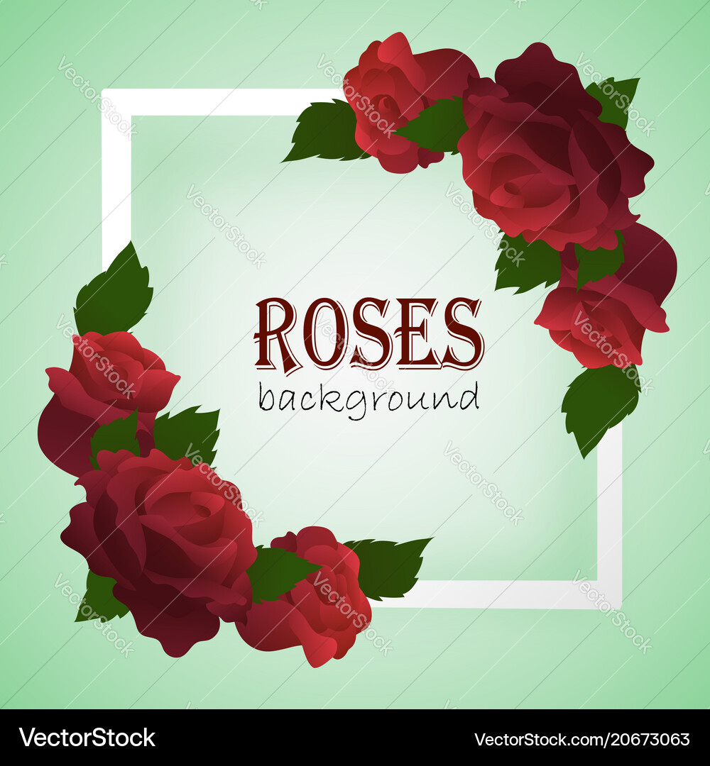 White frame with branches of roses on the corners Vector Image