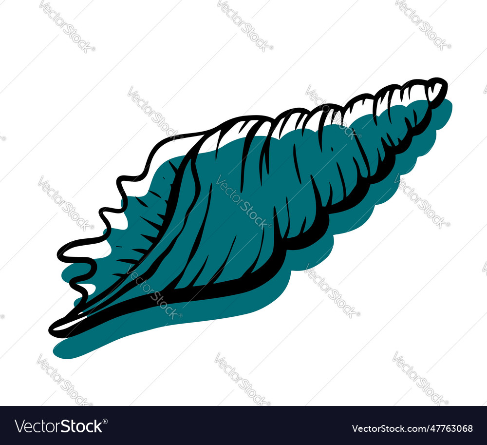 Shell with an outline in a trendy minimal style Vector Image