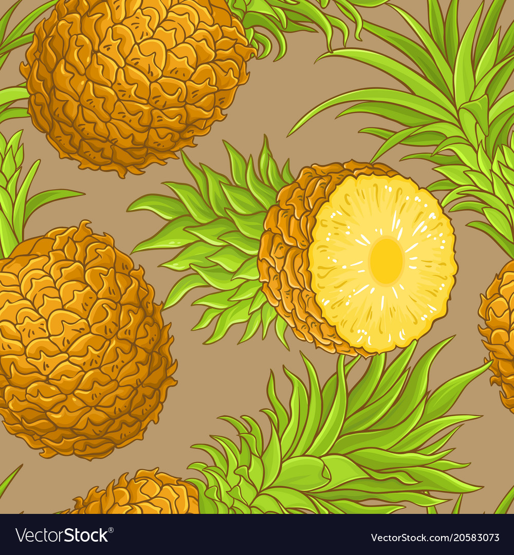 Pineapple pattern Royalty Free Vector Image - VectorStock