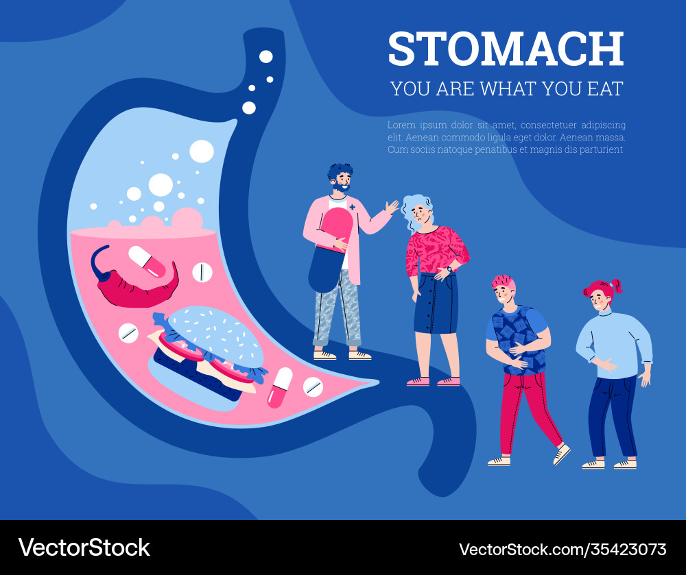 Stomach and digestive system medical banner Vector Image