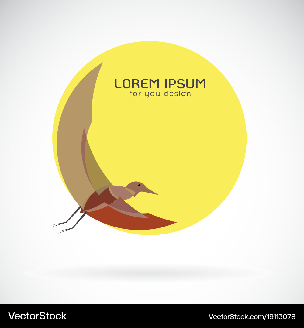 Birds in a circle on white background wild Vector Image