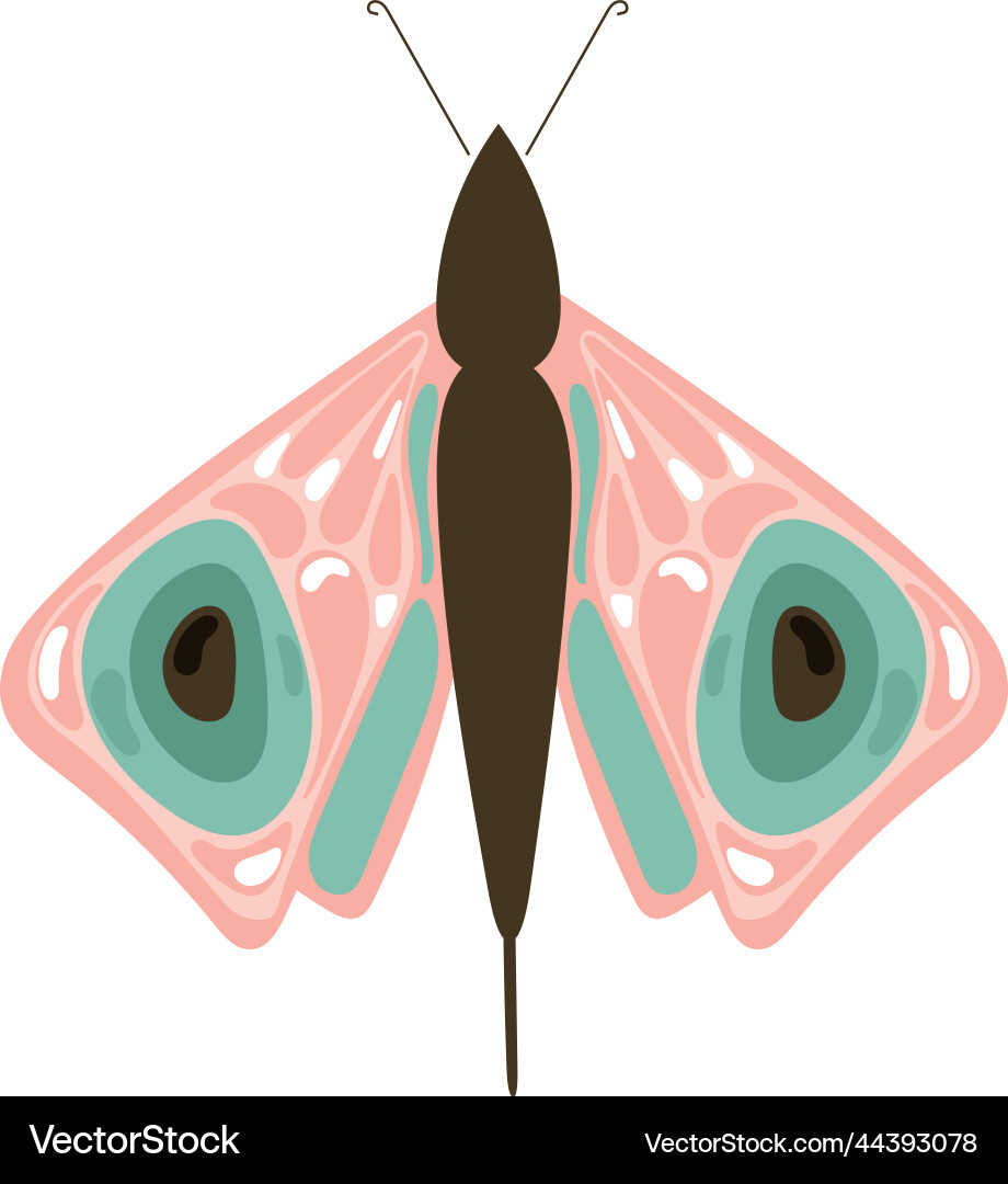 Butterfly bug icon Royalty Free Vector Image - VectorStock