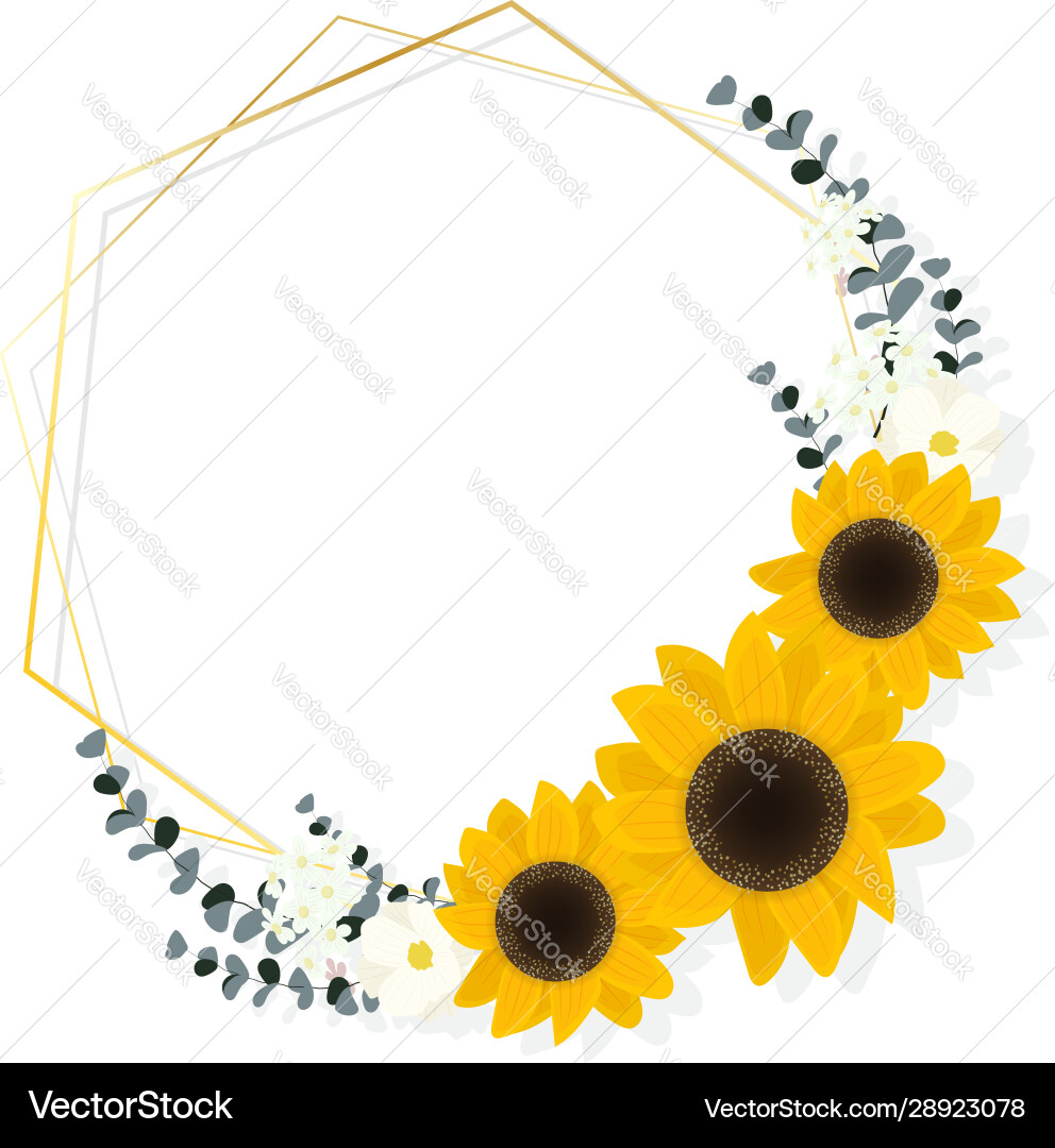 Flat style sunflower eucalyptus with golden frame Vector Image