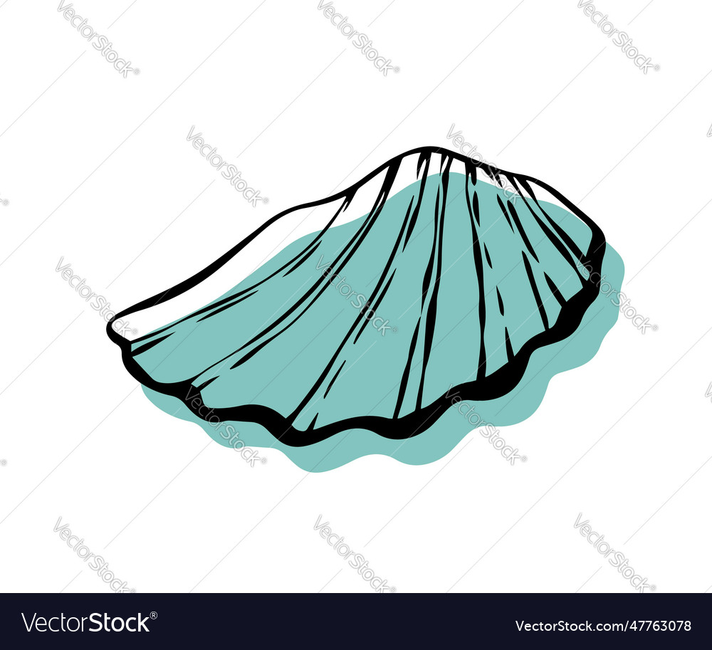 Shell with an outline in a trendy minimal style Vector Image