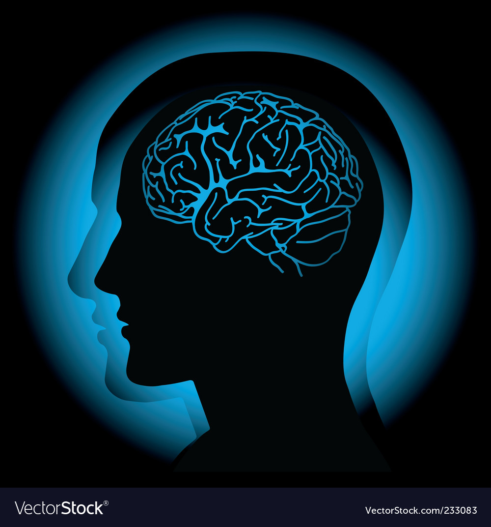 Brain Royalty Free Vector Image - VectorStock