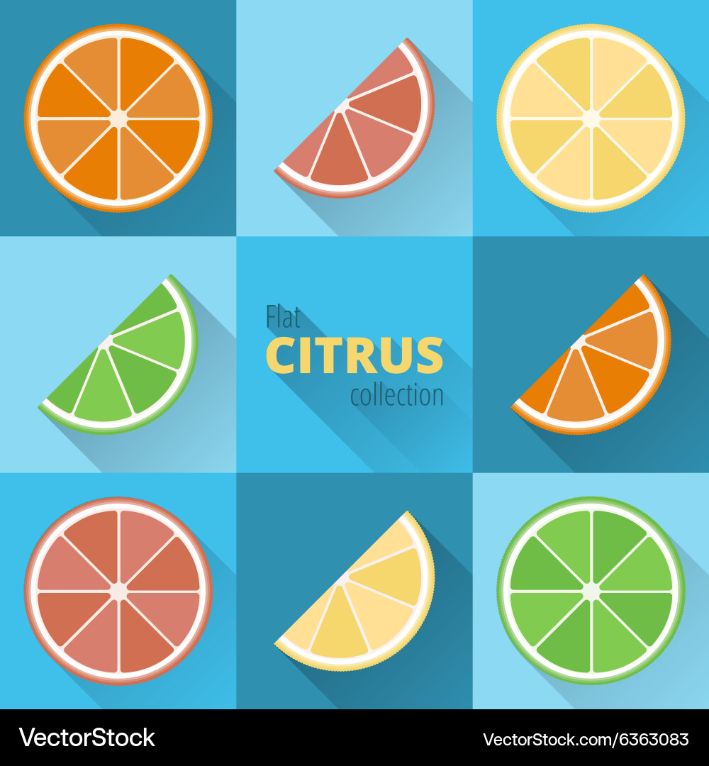 Flat icons of citrus Royalty Free Vector Image
