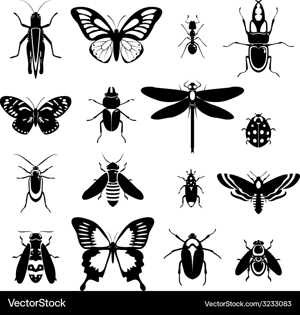 Insects icons set black and white Royalty Free Vector Image