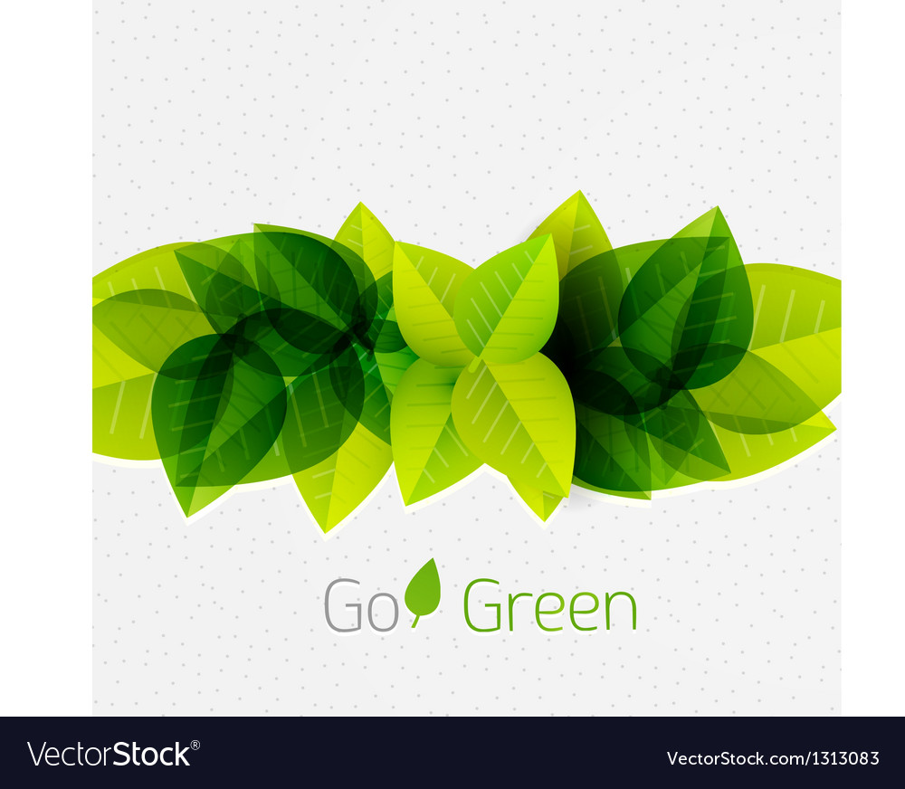 Spring summer green leaves nature background Vector Image