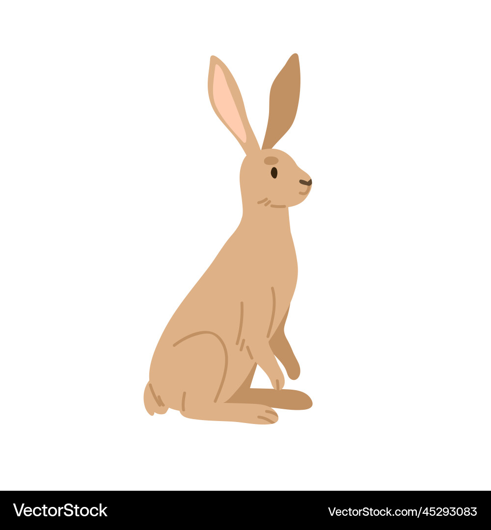 Wild brown hare forest animal with long ears Vector Image