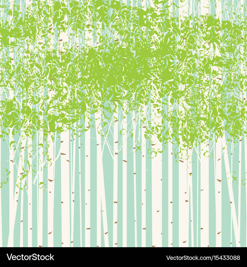 Birch grove background against the blue sky Vector Image
