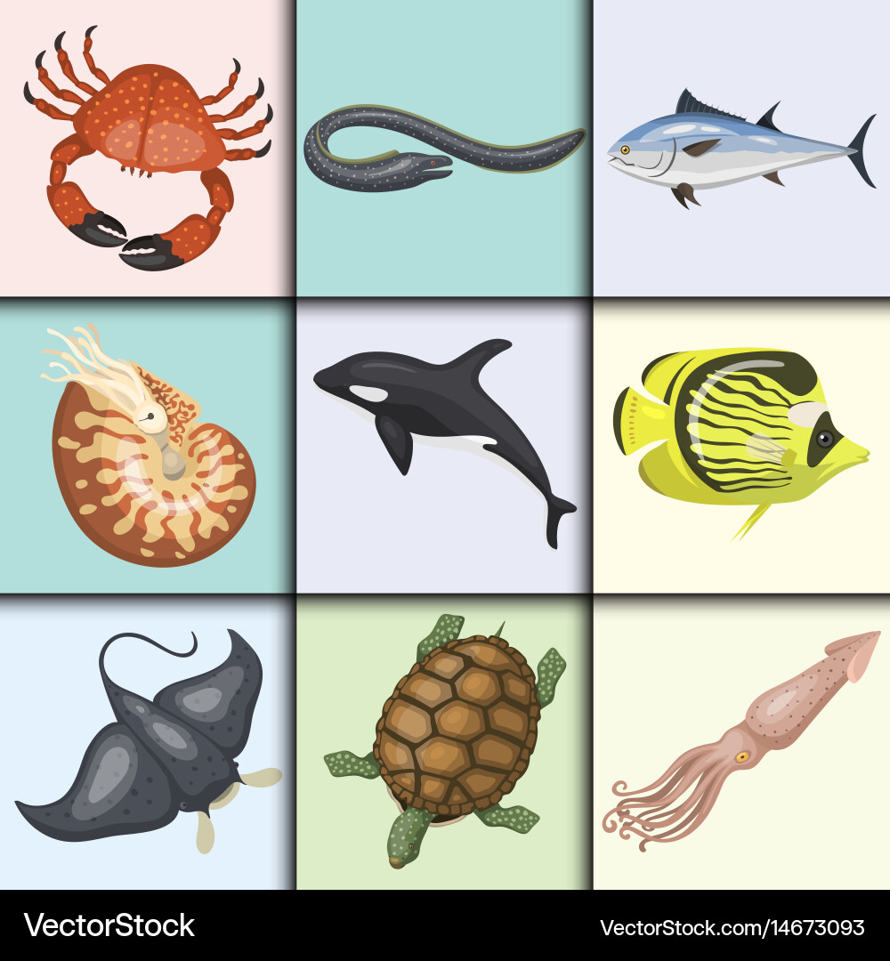 Set of different types sea animals Royalty Free Vector Image
