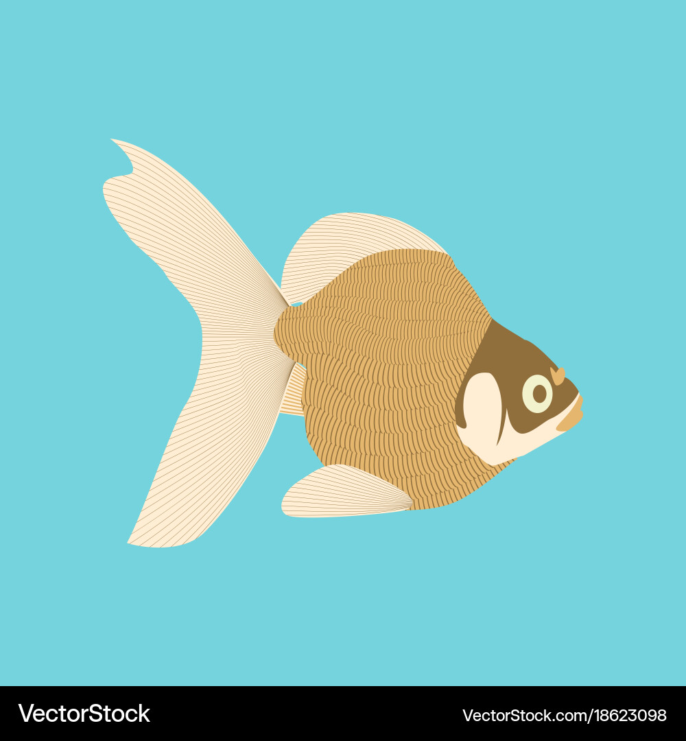 In flat style goldfish Royalty Free Vector Image
