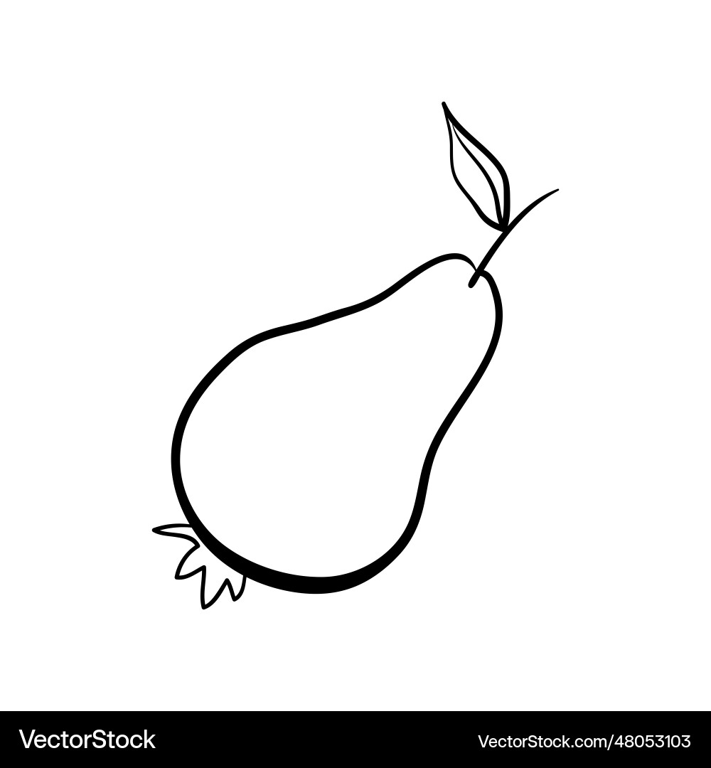 Pear doodle cooking ingredient hand drawn food Vector Image