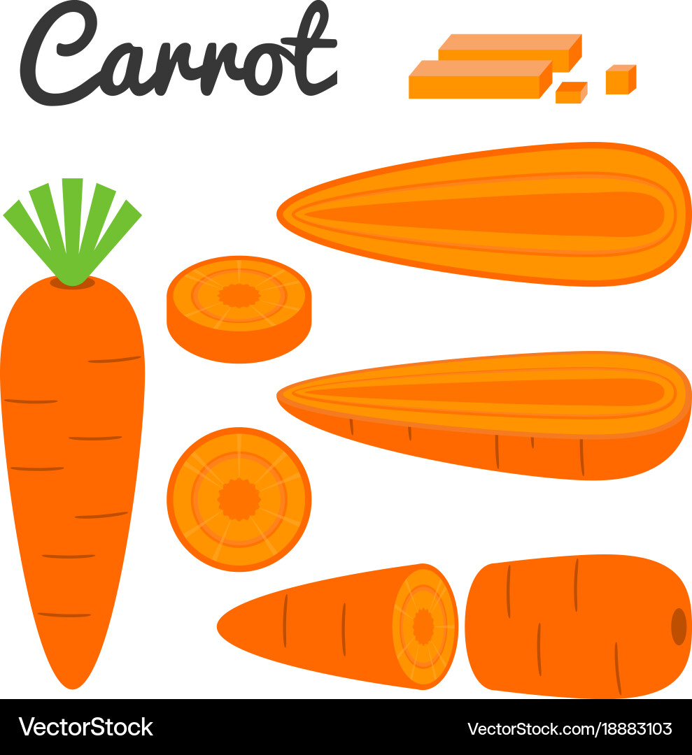 Set of fruit and vegetable carrot Royalty Free Vector Image