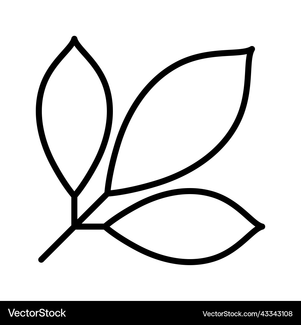 Ash tree leaf plant icon pictogram isolated Vector Image
