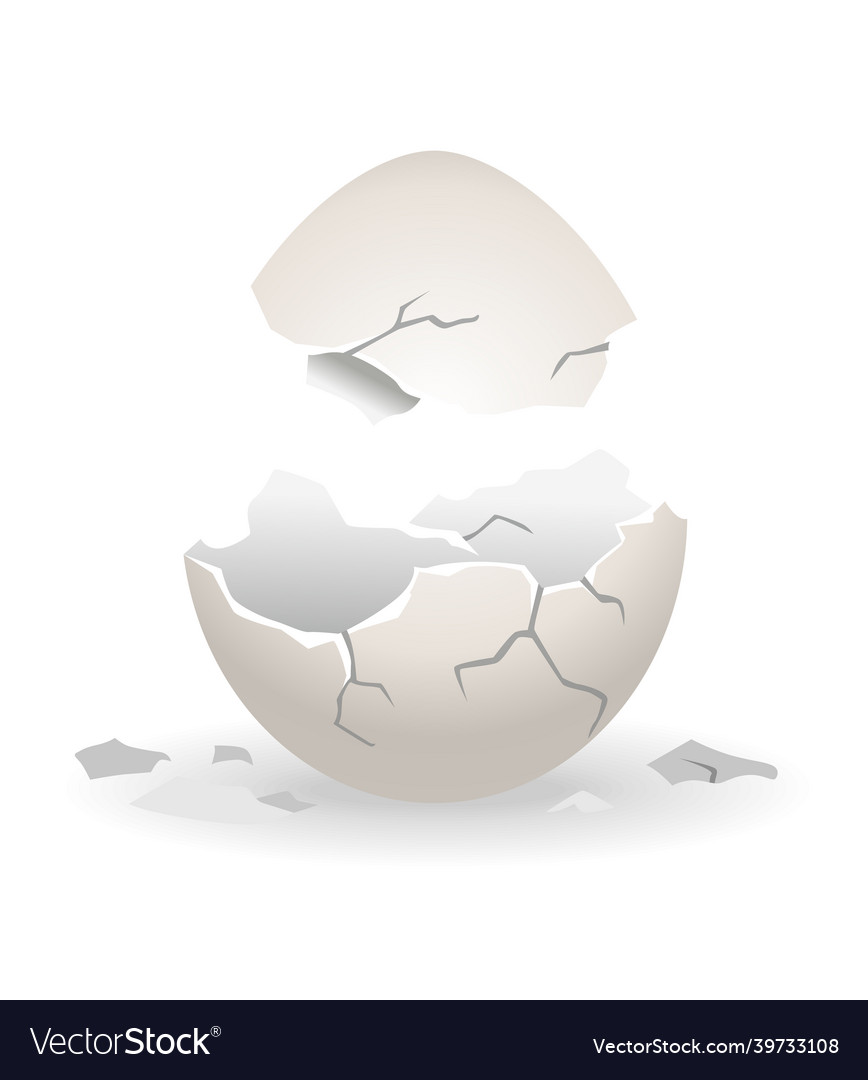 Cracked egg eggshell cracking stage realistic Vector Image