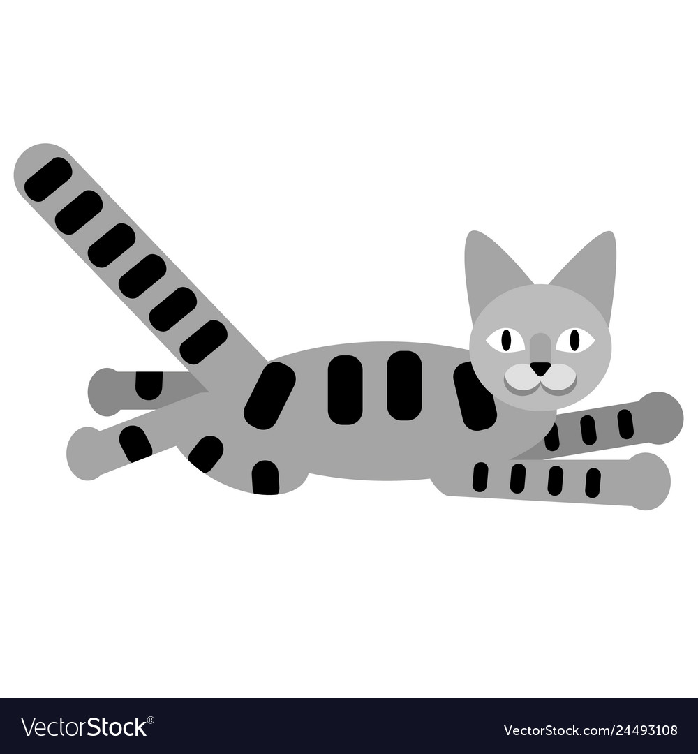 Grey cat flat on white Royalty Free Vector Image