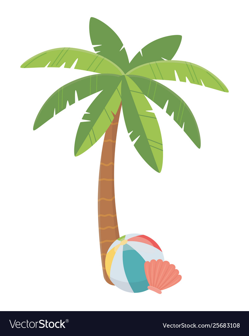 Palm tree design summer Royalty Free Vector Image