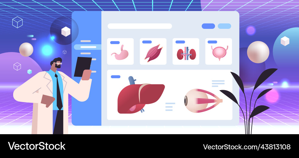 Scientist examining anatomical human body internal