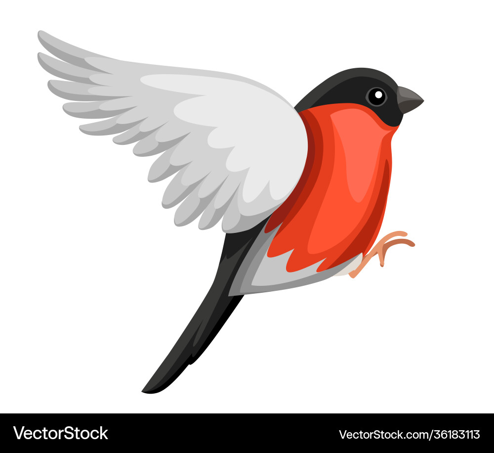 Side view flying bullfinch bird flat cartoon Vector Image