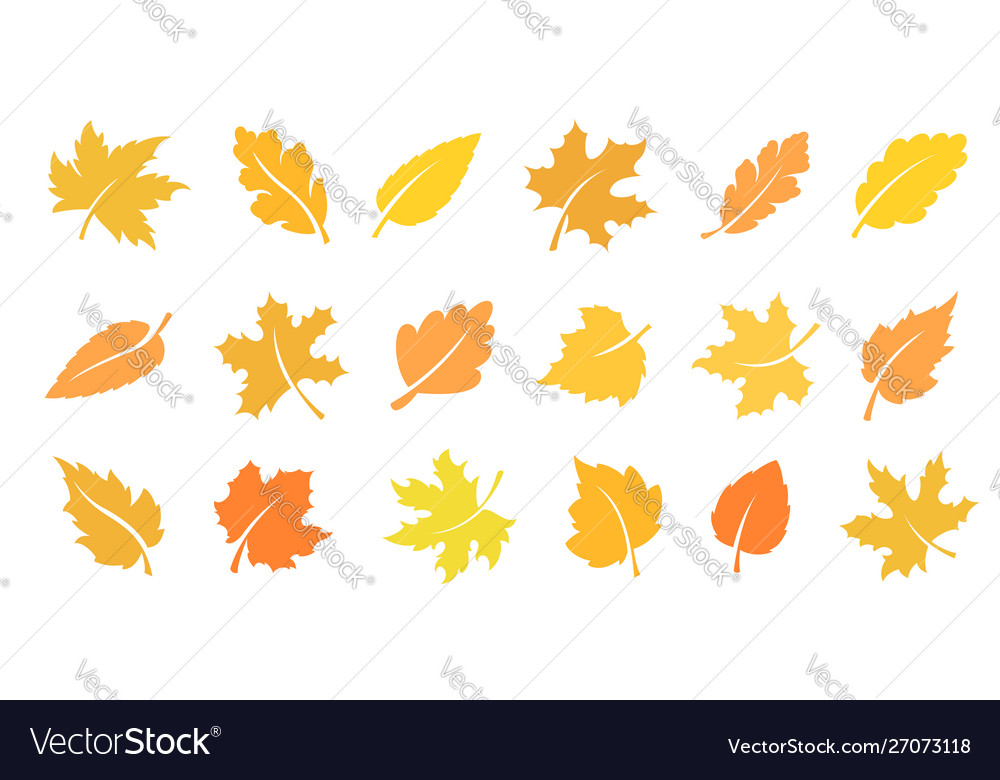 Autumn leaf set Royalty Free Vector Image - VectorStock
