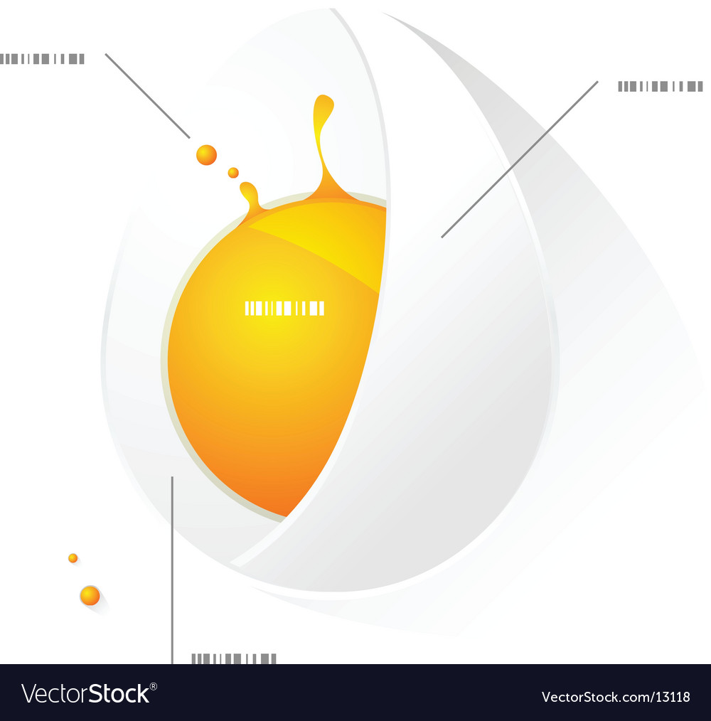 Egg Royalty Free Vector Image - VectorStock