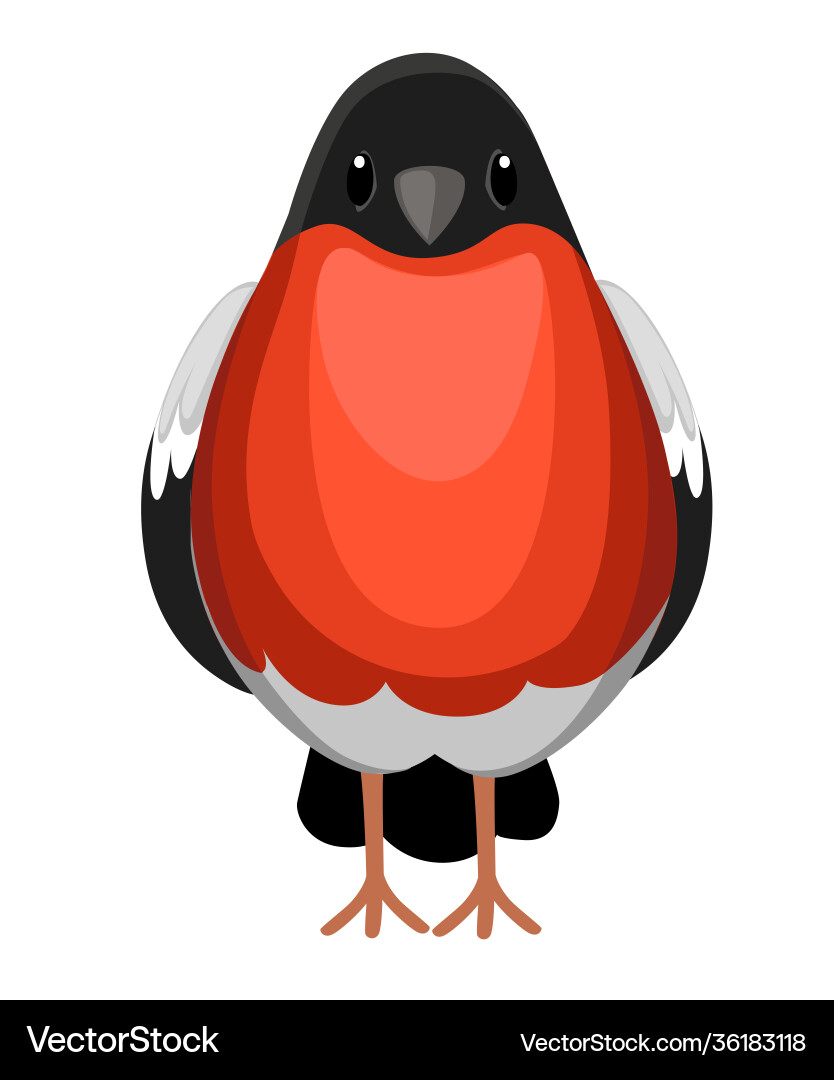 Front view bullfinch bird sitting flat cartoon Vector Image