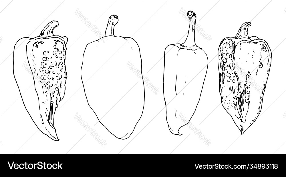 Hand-drawn sketch style set peppers Royalty Free Vector