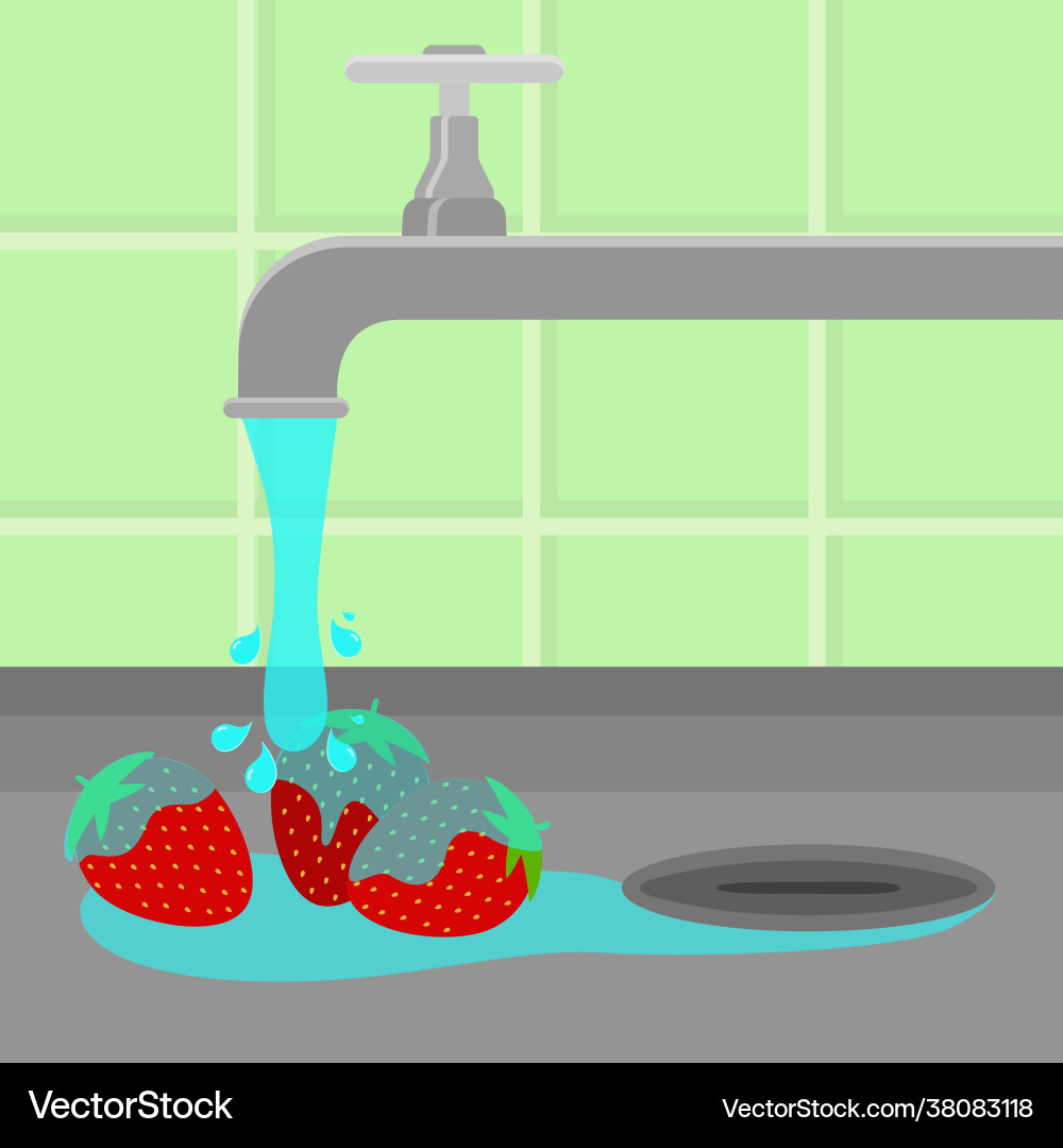Tap washing strawberry Royalty Free Vector Image