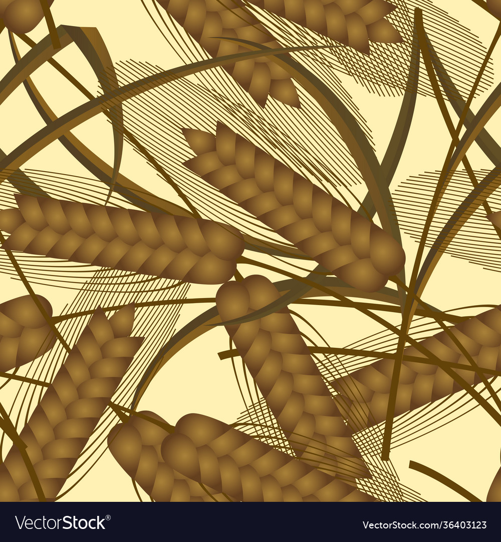 Seamless pattern background ears rye Royalty Free Vector
