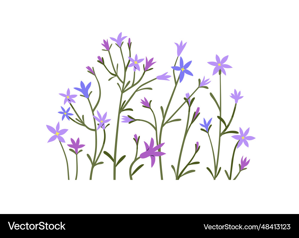 Spring flowers cluster floral decoration Vector Image