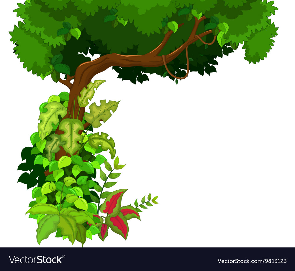 Tree background Royalty Free Vector Image - VectorStock