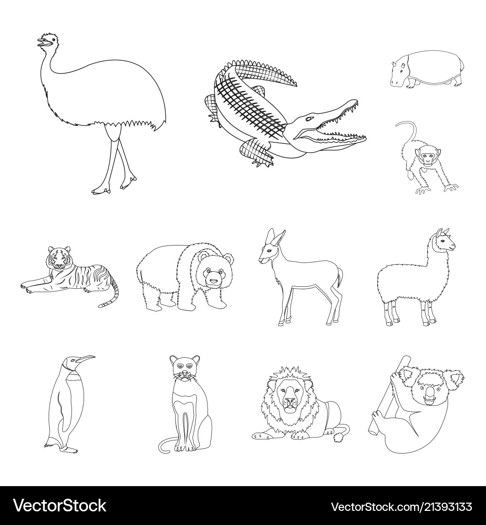 Different animals outline icons in set collection Vector Image