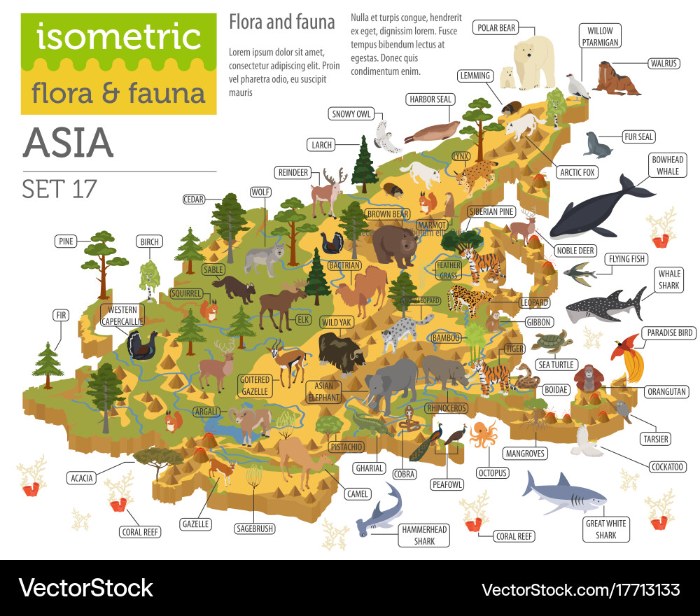 Isometric 3d asian flora and fauna map Royalty Free Vector