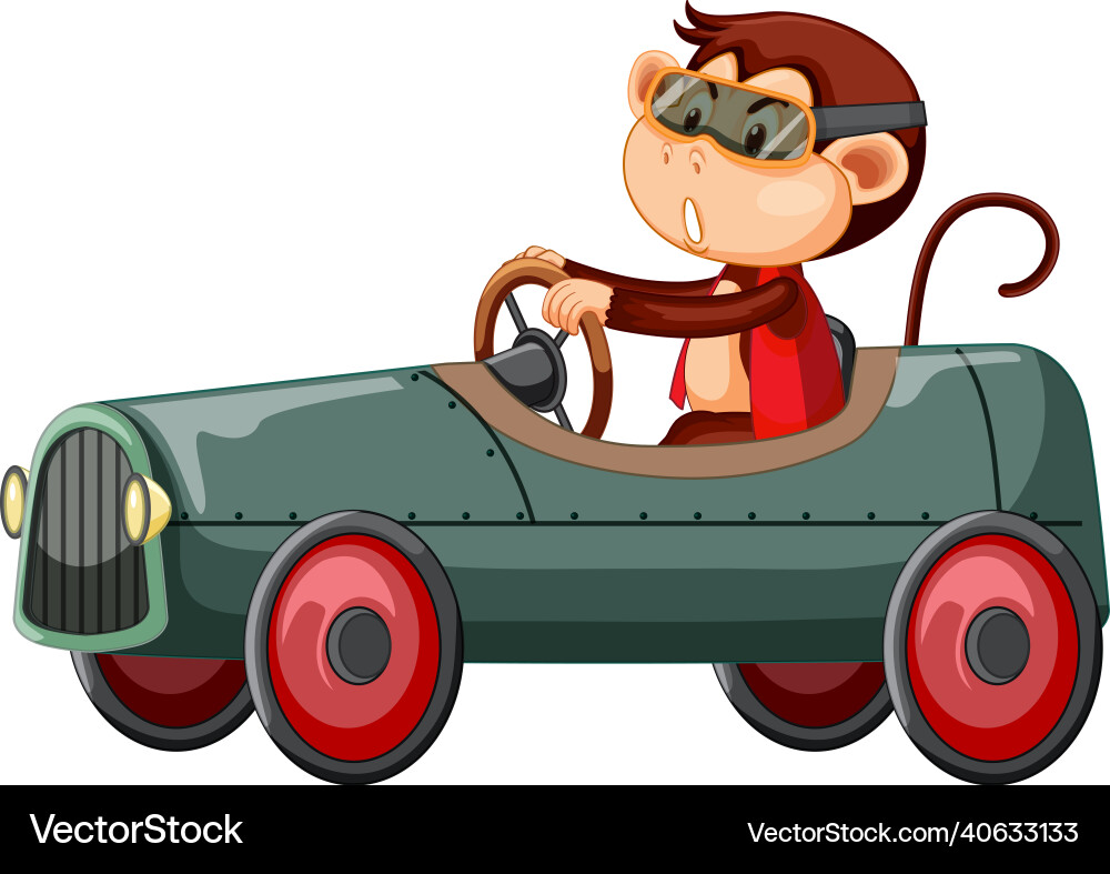Little monkey driving race car on white background
