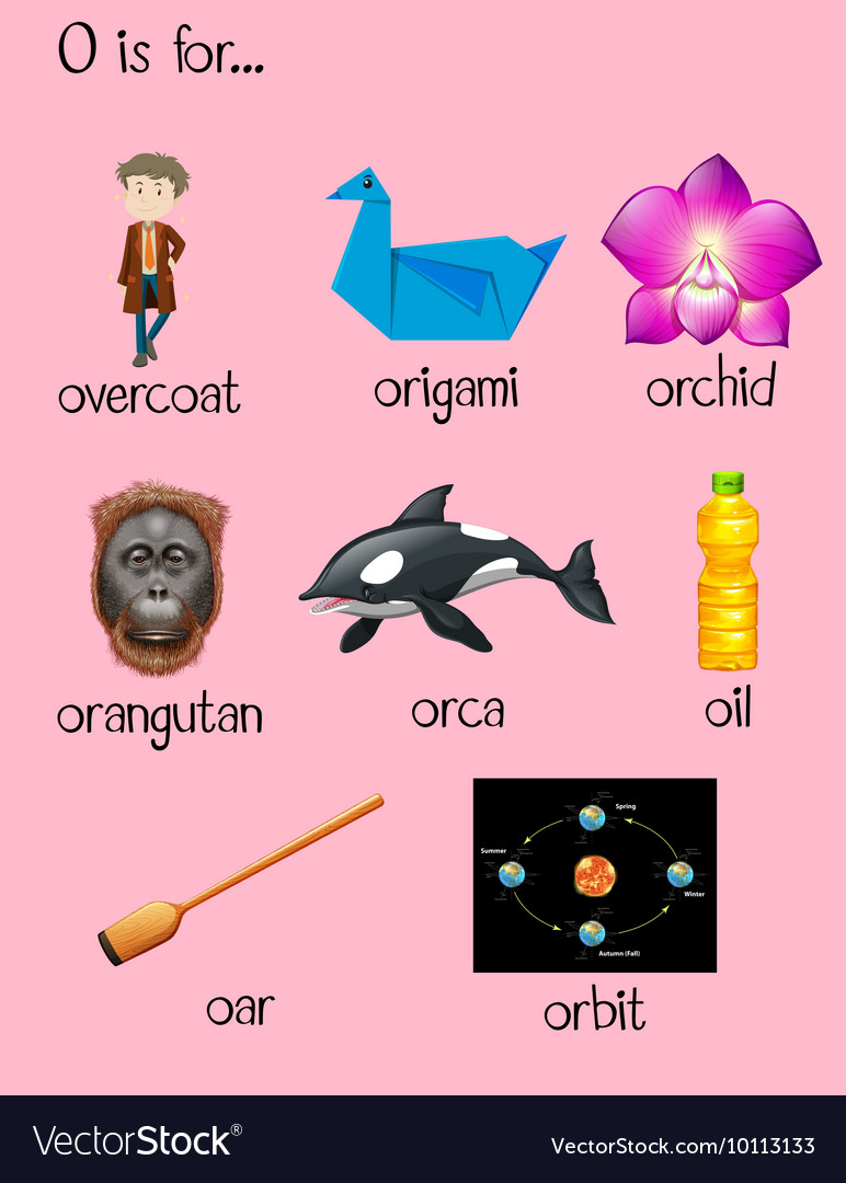 Many Words Begin With Letter O Royalty Free Vector Image
