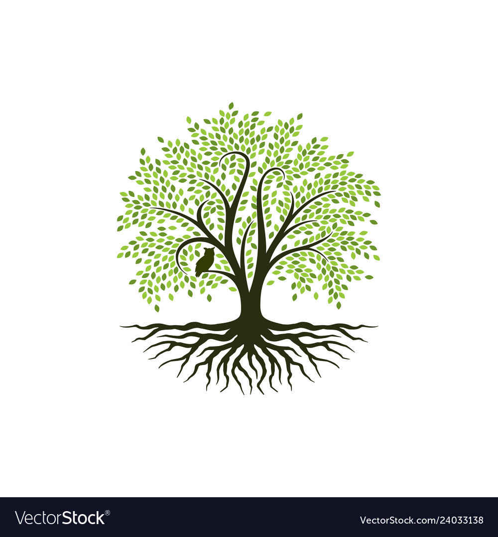 Abstract vibrant tree logo design root Royalty Free Vector Abstract vibrant tree logo design root Royalty Free Vector