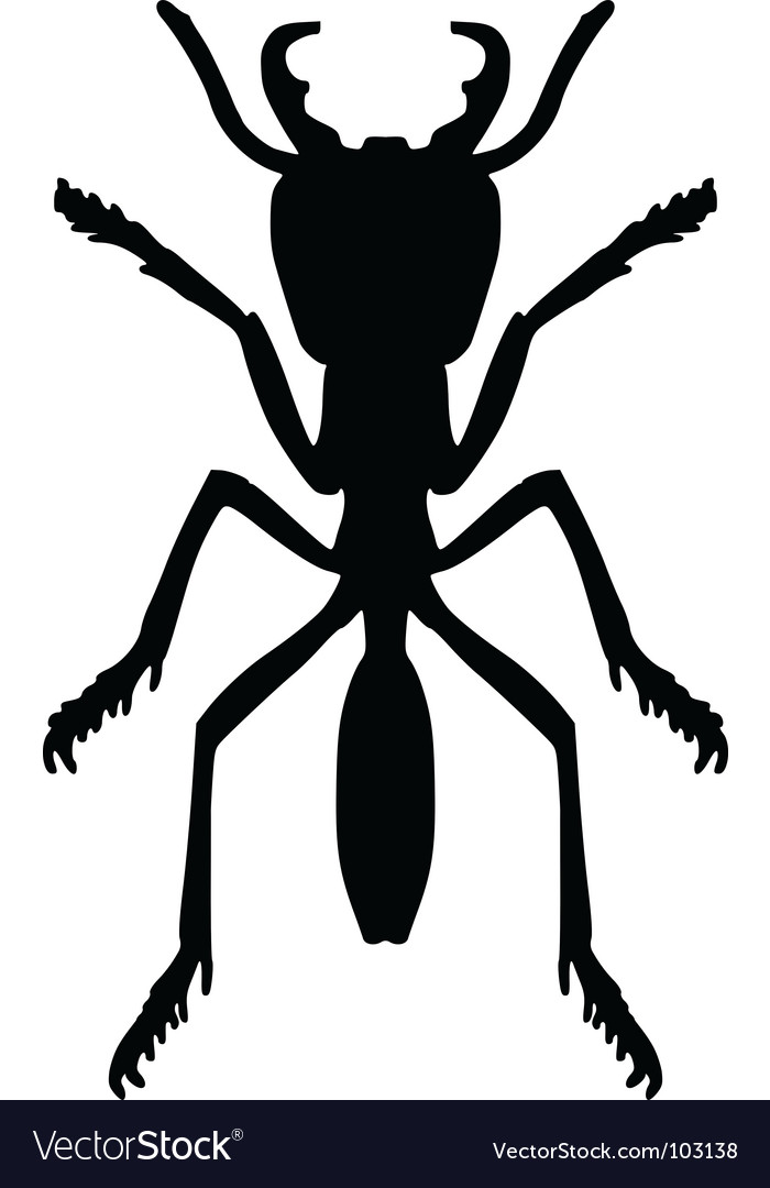 Ant Royalty Free Vector Image - VectorStock