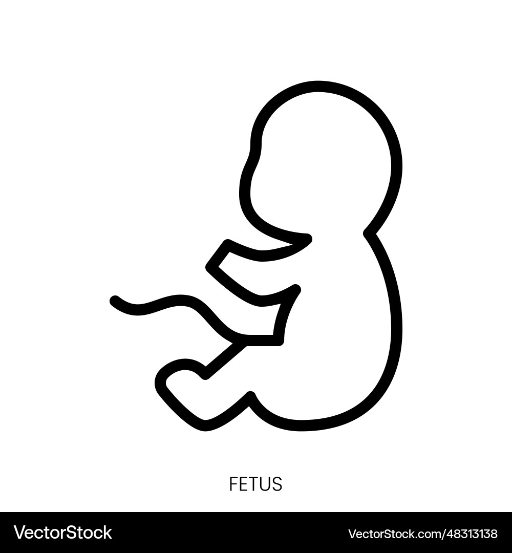 Fetus icon line art style design isolated Vector Image