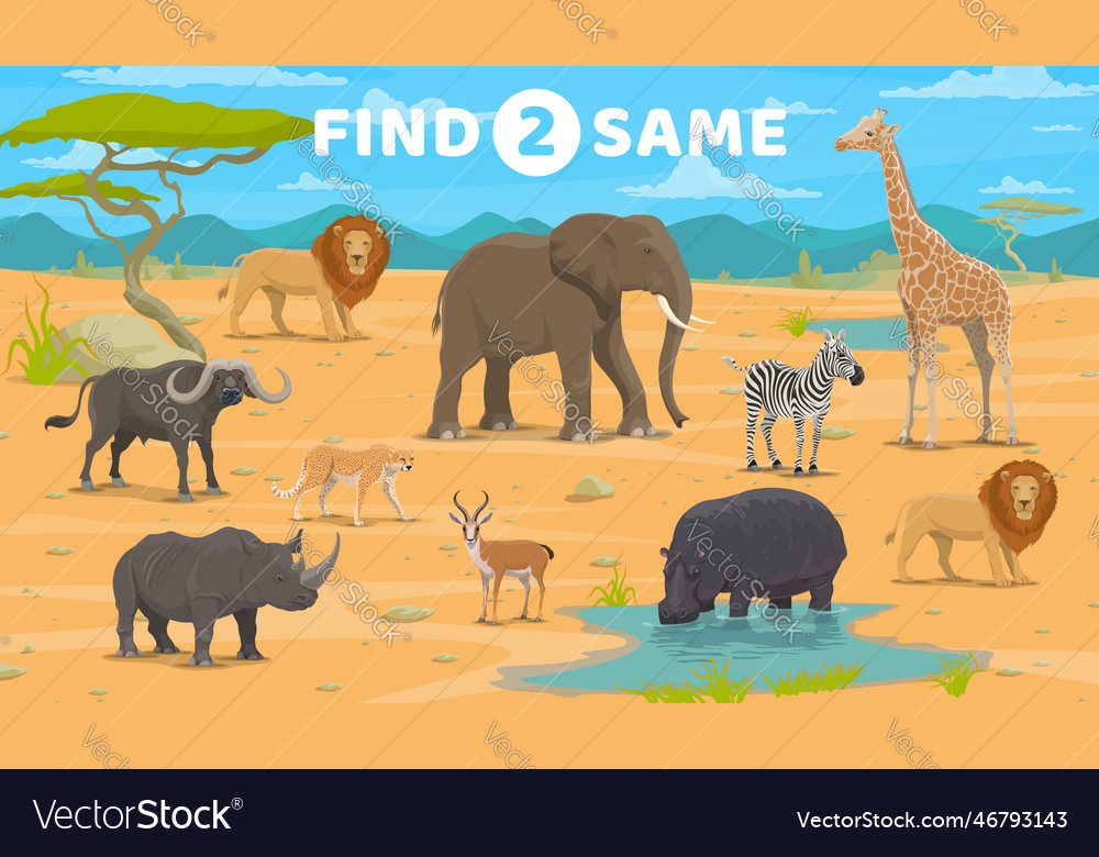 Find two same african savannah animals worksheet Vector Image