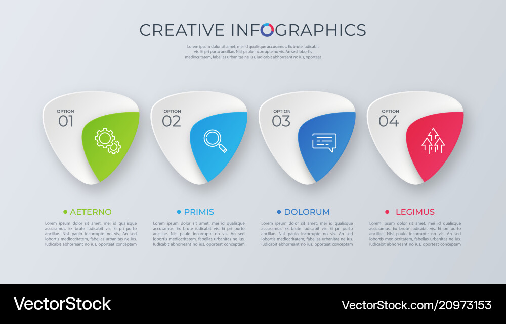 Contemporary minimalist infographic design Vector Image