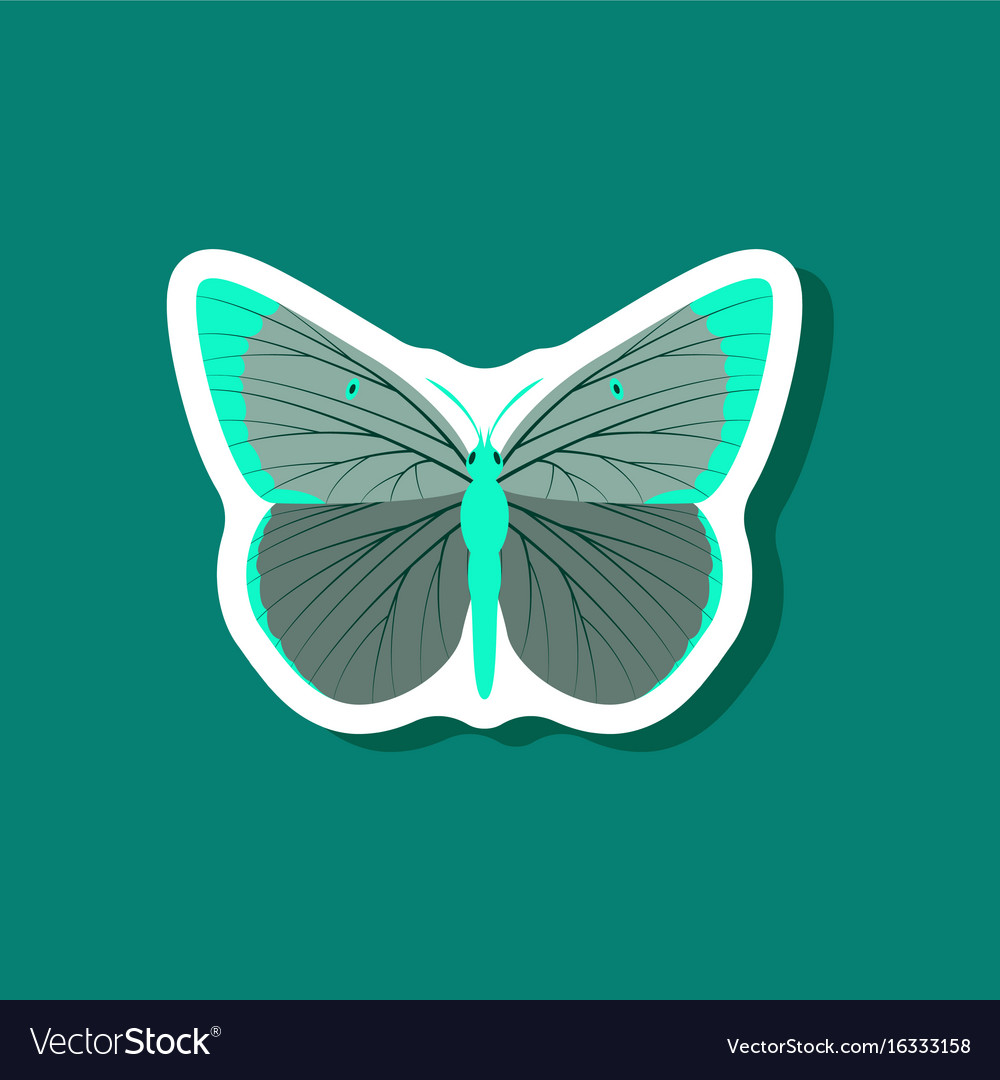 Butterfly Paper Sticker On Stylish Background Vector Image
