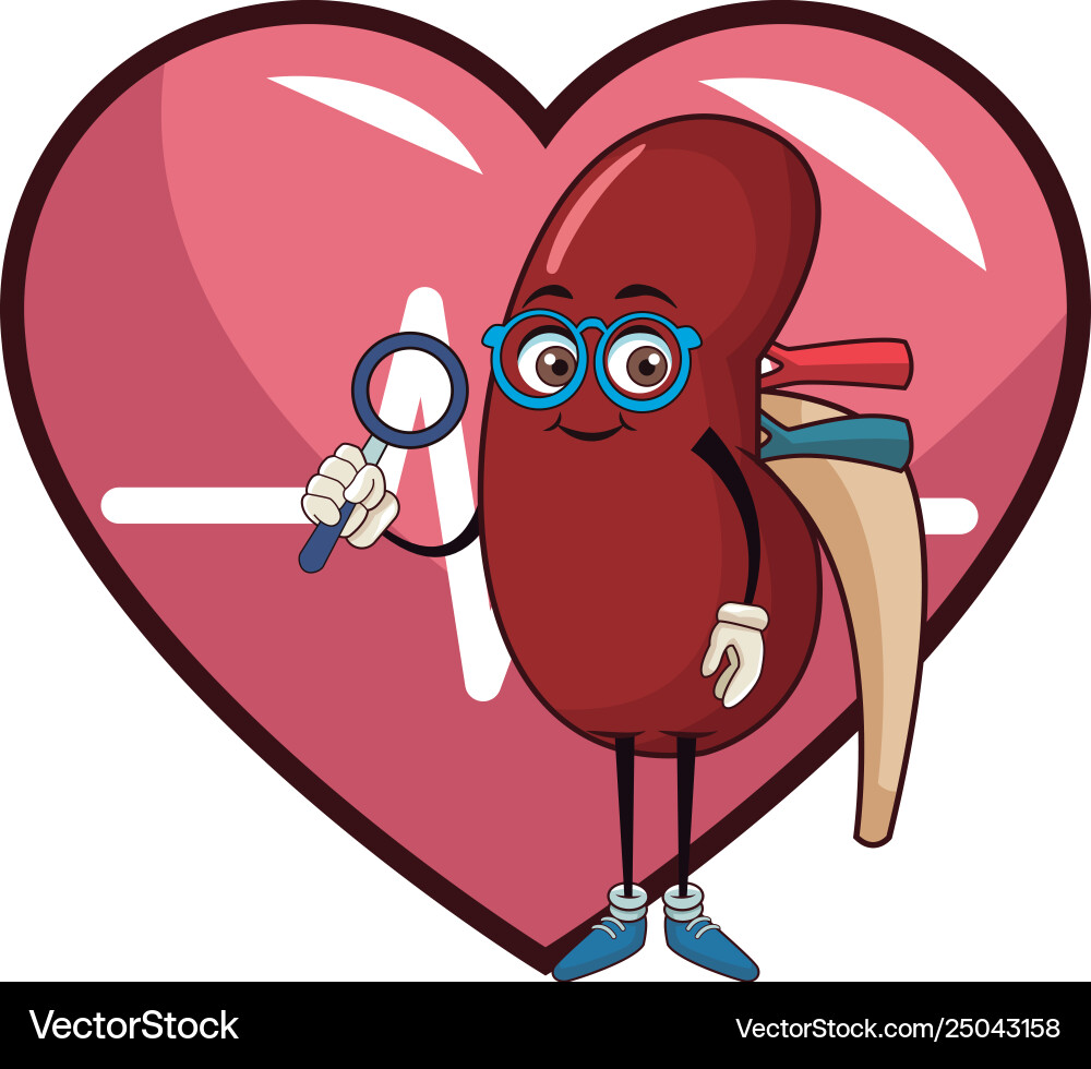 Kidney funny cartoon Royalty Free Vector Image