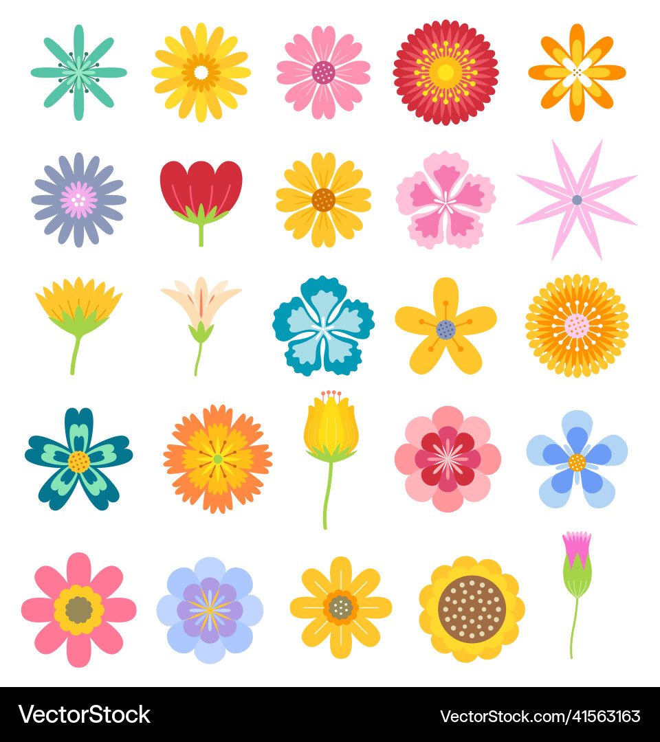 Floral flower elements colorful set Royalty Free Vector