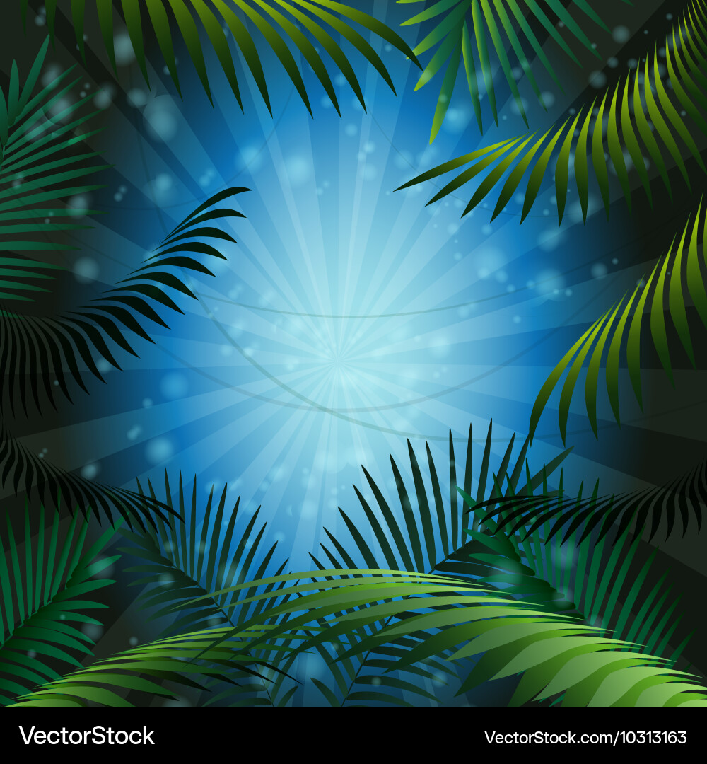 Jungle frame Royalty Free Vector Image - VectorStock